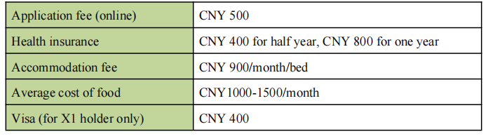 International Exchange Students